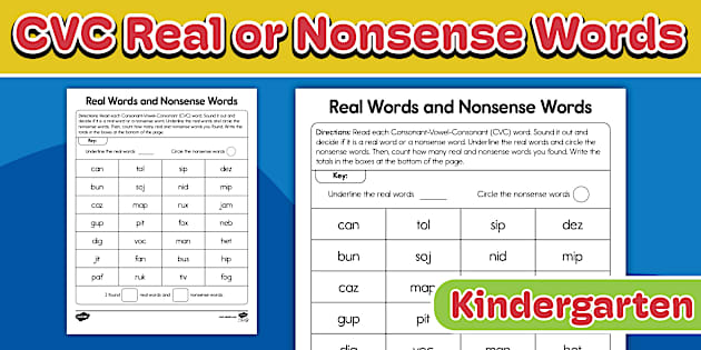Kindergarten CVC Real or Nonsense Words Decoding Activity