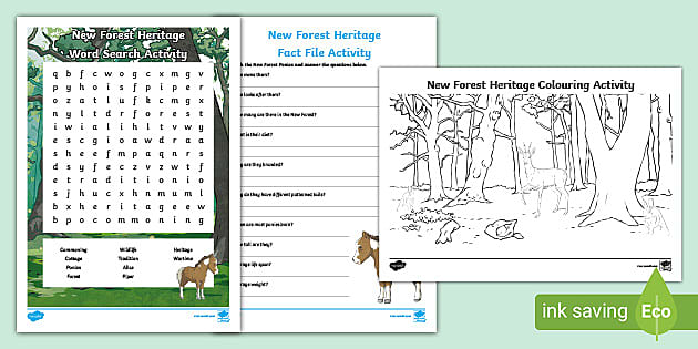 New Forest Heritage Activity Pack | Twinkl Resources