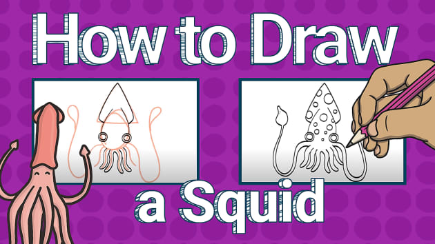 How to Draw a Squid | Twinkl Kid's TV (teacher made)