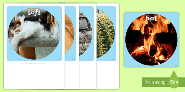Sensory Words (Touch) Display Photo Cut-Outs (teacher made)