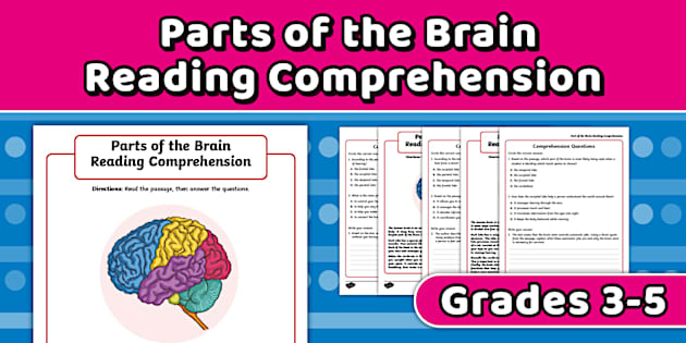 Parts of the Brain Reading Passage Comprehension Worksheets