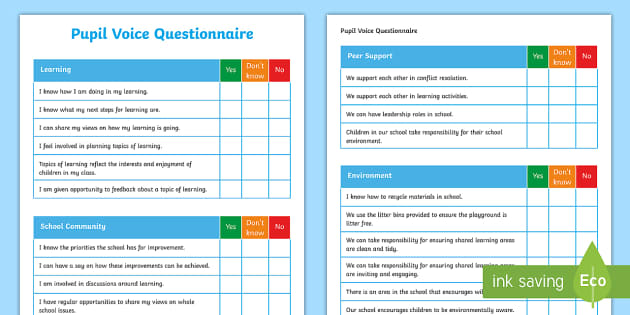 Pupil Voice Children's Questionnaire Form (teacher made)