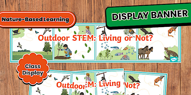 Outdoor STEM Display Banner – Living or Not?