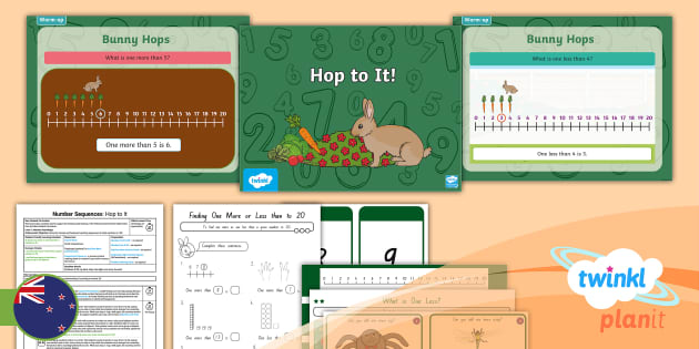 Level 1 Number Sequences: One More or Less to 20 Lesson 1