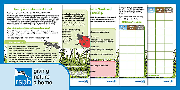 FREE! - Going on a Minibeast Hunt (Ages 5 - 7)
