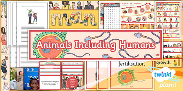 Science: Animals Including Humans Year 5 Unit Additional Resources