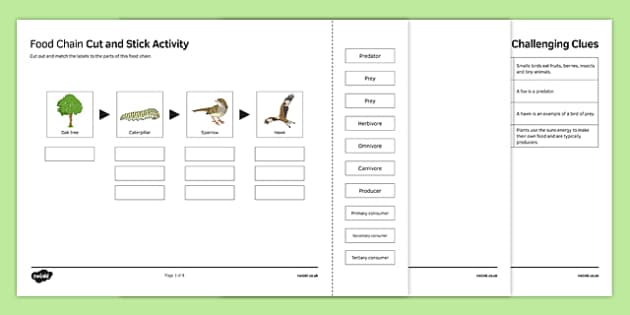 Woodland Food Web Cut and Stick Worksheet / Activity Sheet, worksheet
