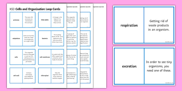 Cells Vocabulary Cards | Biology | Junior Cert - Twinkl