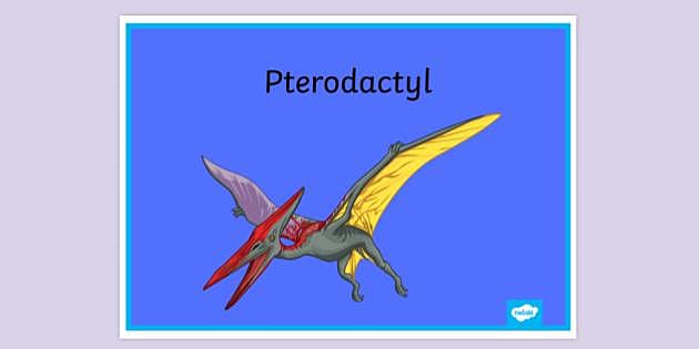 FREE! - Pterodactyl Poster Printable | Display | Twinkl Primary