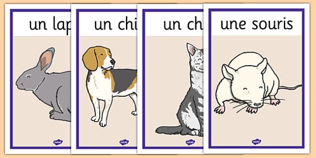 French Pets Display Posters (teacher made)