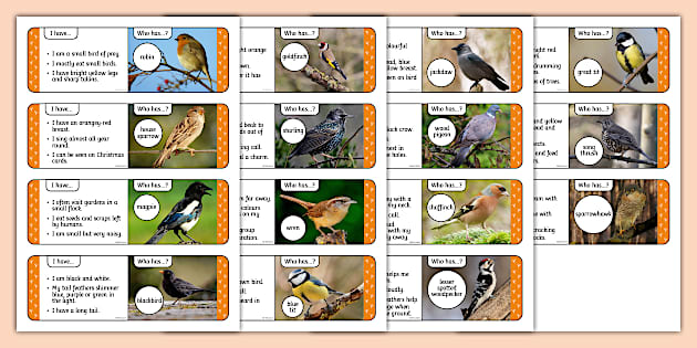 British Birds Loop Card Game | Animals | Twinkl - Twinkl British Birds Loop Card Game | Animals | Twinkl - Twinkl