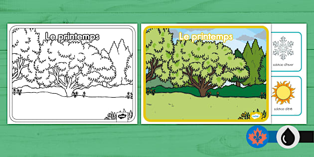 Seasons Sorting Activity French