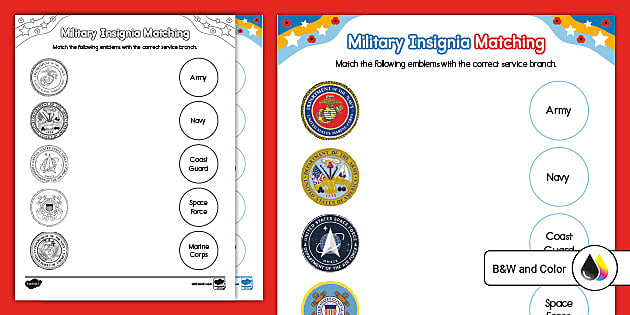 Military Insignia Matching Activity (teacher made)