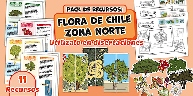 Pack | Flora de Chile | Zona Norte