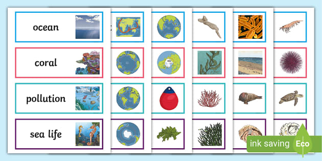 World Oceans Day Word Cards (teacher made) - Twinkl