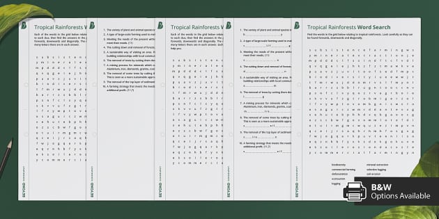 GCSE AQA Tropical Rainforests Wordsearch (teacher made)