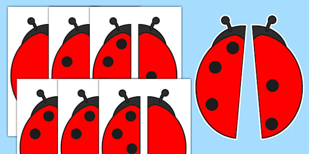 Ladybird Spot Number Bonds to 5 Matching Activity - ladybird