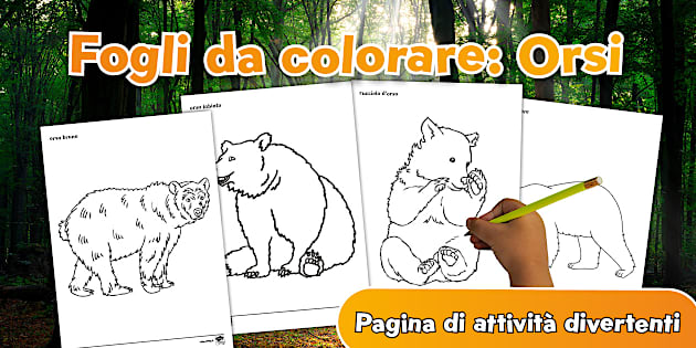 Fogli da colorare: Orsi