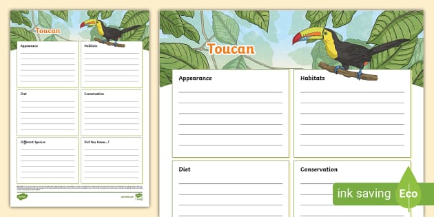 Toucan Fact File Template (l'enseignant a fait) - Twinkl