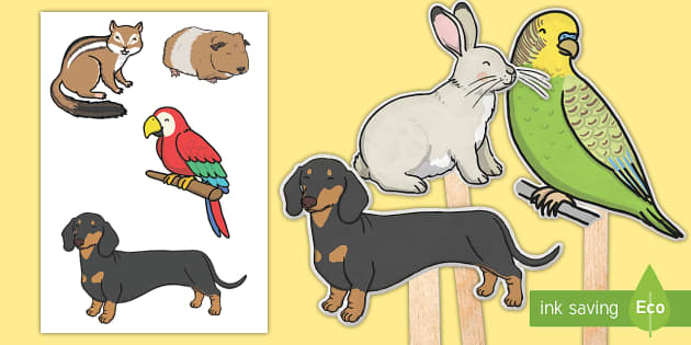 Pet Animal Stick Puppets (teacher made)