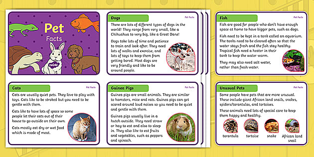Formidable Sid: Pets Information Fact Cards