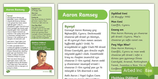 Ffeil Ffeithiau Aaron Ramsey (teacher made) - Twinkl