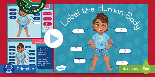 Human Body For Kids To Label