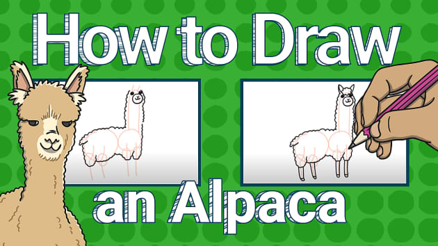 How to Draw an Alpaca | Twinkl Kid's TV (teacher made)