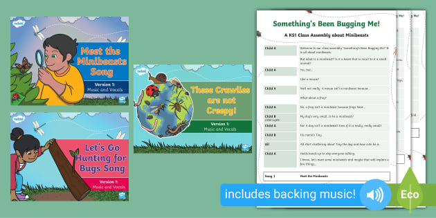 👉 Something's Been Bugging Me - KS1 Minibeasts Class Assembly