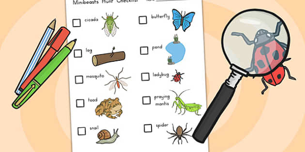 Minibeasts Investigation Lab Checklist of Minibeasts - science