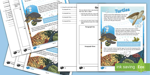 Finding the Main Idea – Inference Activity (teacher made)