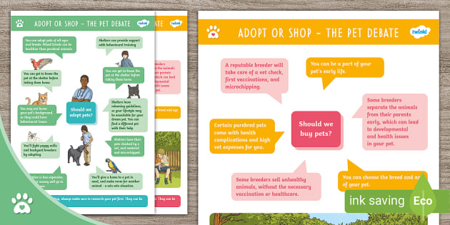 Adopt or Shop - The Pet Debate - Display Posters - Pet Care