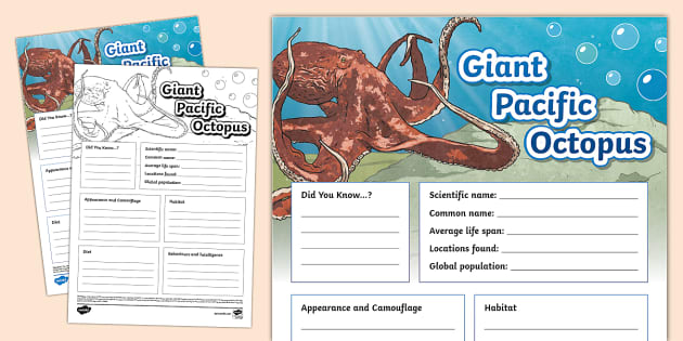 Giant Pacific Octopus Fact File Template (teacher made)
