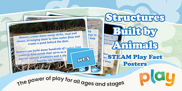 Structures Built by Animals Set 3 STEAM Play Fact Posters