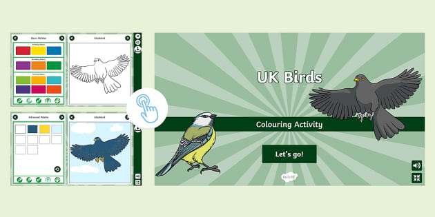 UK Birds Interactive Colouring (teacher made) - Twinkl