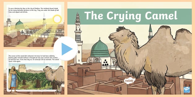 The Crying Camel PowerPoint (teacher made)