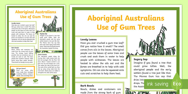 Aboriginal Australians Use of Gum Trees Display Poster