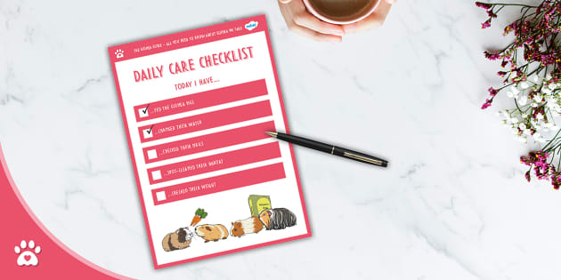 Guinea Pig Care - Daily Checklist - Pet Care - Twinkl Pets