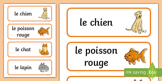 French Pets Word Cards (teacher made)