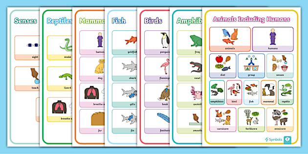 Twinkl Symbols: Animals Including Humans Vocabulary Mat
