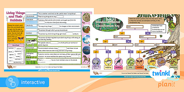 Interactive PDF: Science: Year 4: Living Things and Their Habitats