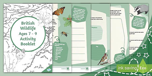 British Wildlife Activities for Kids - Twinkl
