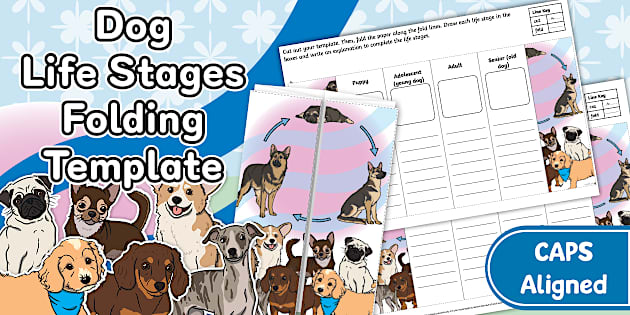 Dog Life Stages Folding Template (CAPS Aligned)