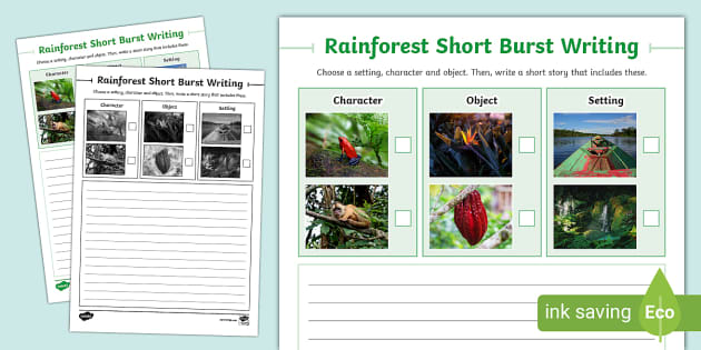 Rainforest Short Burst Writing Template (teacher made)