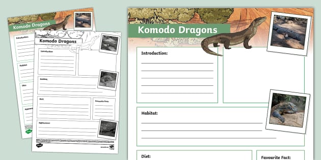 Komodo Dragon Non-Chronological Report Template - Twinkl