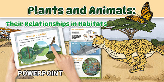 Plants and Animals and Their Relationships PowerPoint Lesson