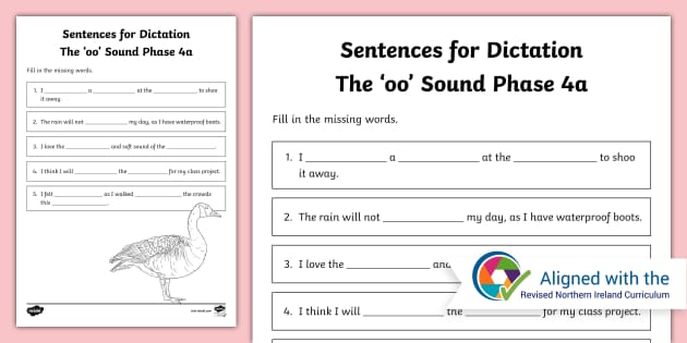Linguistic Phonics Phase 4a 'oo' Sound Dictation Sentences Worksheet