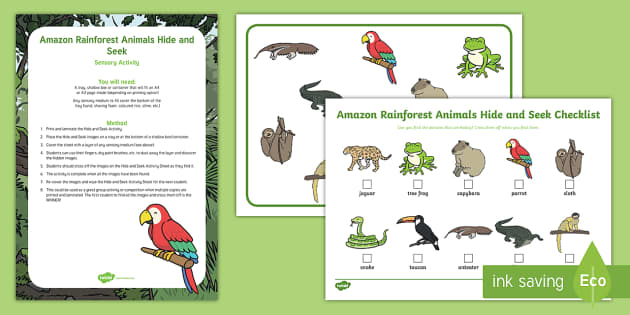 Amazon Rainforest 'Hide and Seek' Sensory Activity - Twinkl