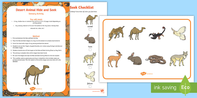 Desert Animals 'Hide and Seek' Sensory Activity - Twinkl