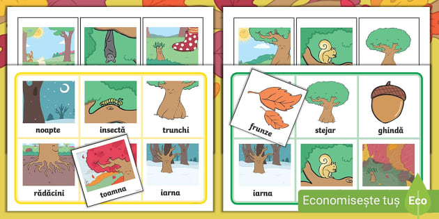 Micuțele ghinde – Bingo (teacher made) - Twinkl